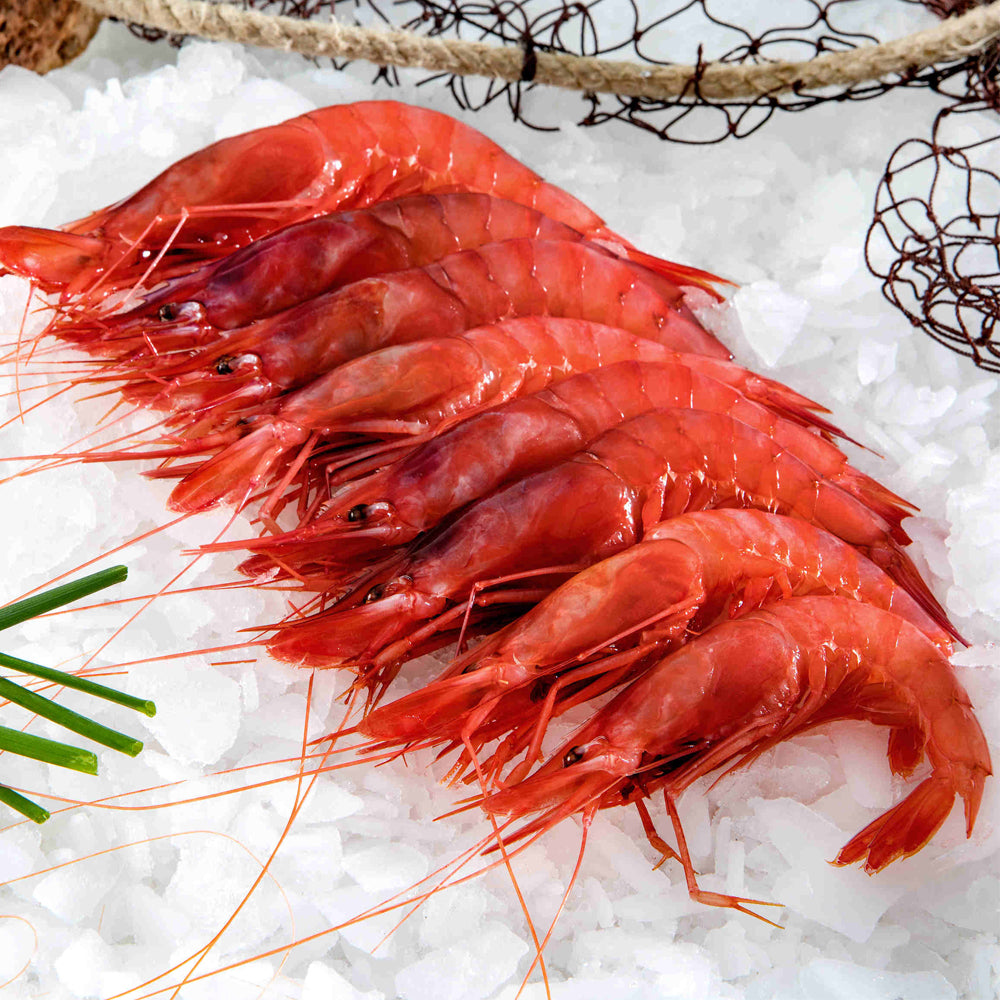 Palamós Prawns – IBERFLAVOURS